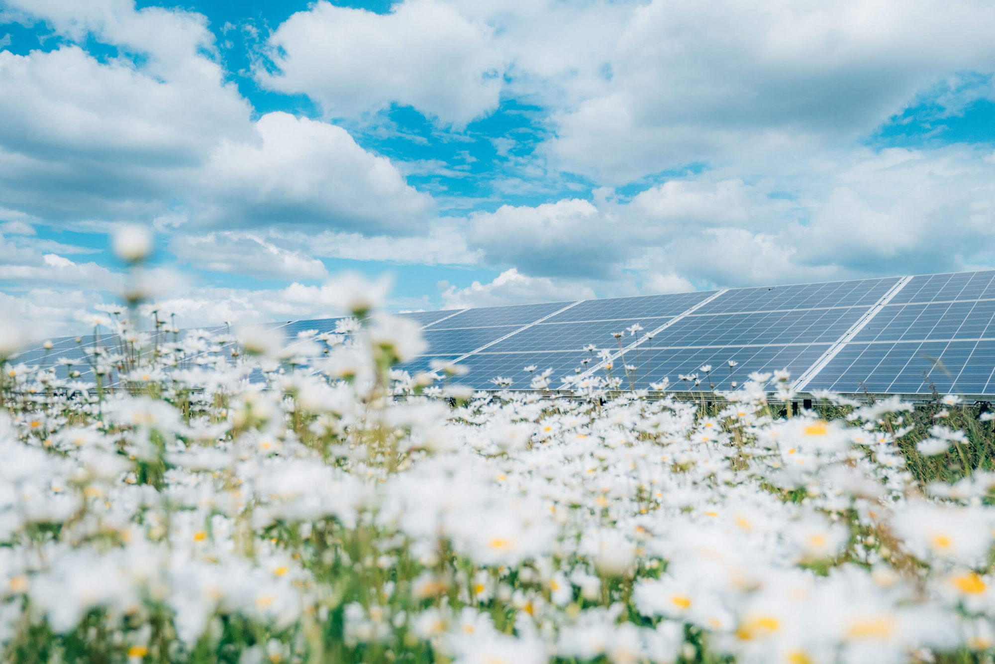 LC Energy — Geeft vorm aan duurzame energie