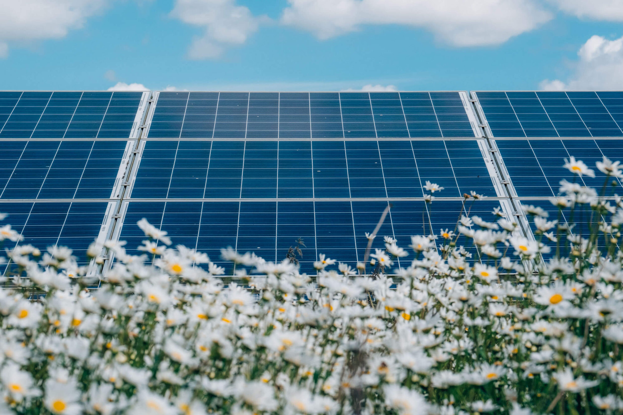 LC Energy — Geeft vorm aan duurzame energie