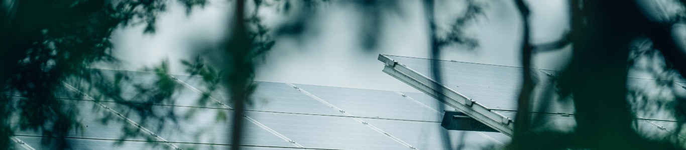 Partners in the transition